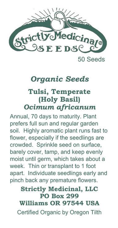 Tulsi, Temperate, Holy Basil Seeds (Ocimum africanum) - Organic – Misty ...